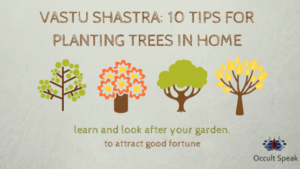 10 Secrets Tips for Planting Trees in Home as per Vastu Shastra