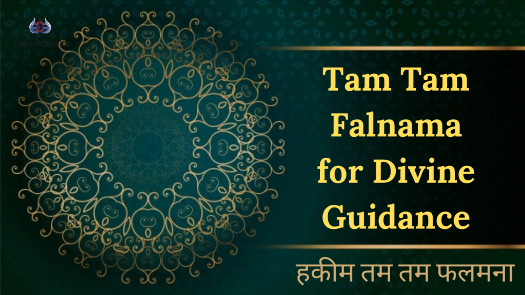 10 Compelling Reasons Why You Need to use Hakim Tamtam Falnama