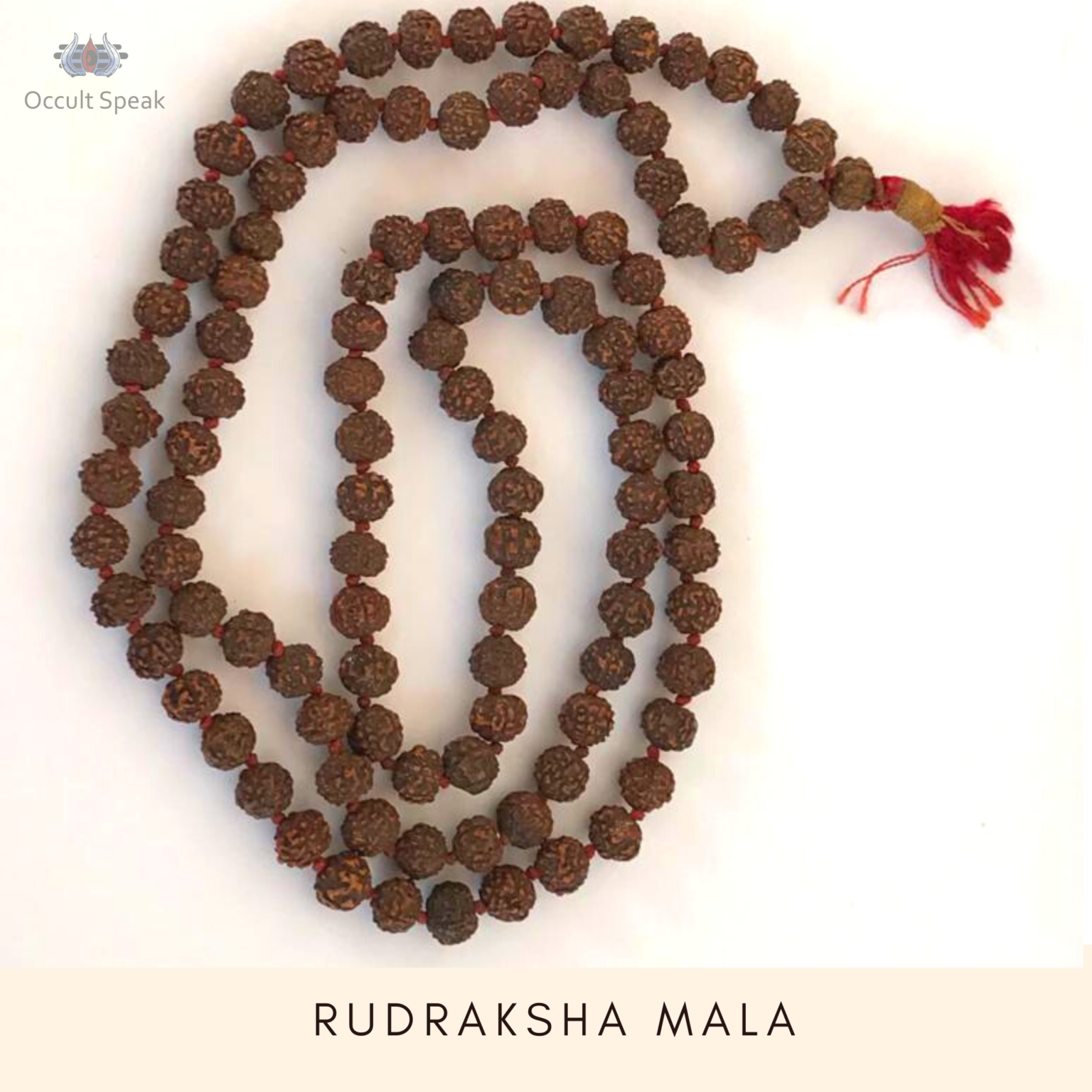 15 Great Benefits of Rudraksha रुद्राक्ष तंत्र और रुद्राक्ष पहने के फायदे