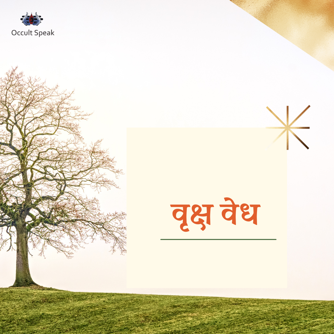 Dwar Vedh and Chayaa Vedh in Vastu Shastra द्वार वेध और छाया वेध का ...