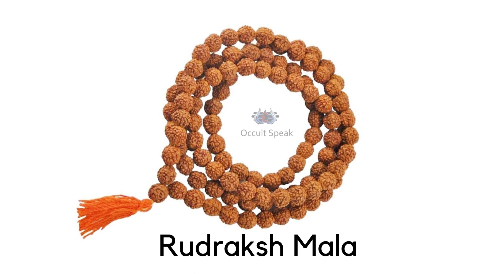 21 Mukhi Rudraksha Benefits in Hindi