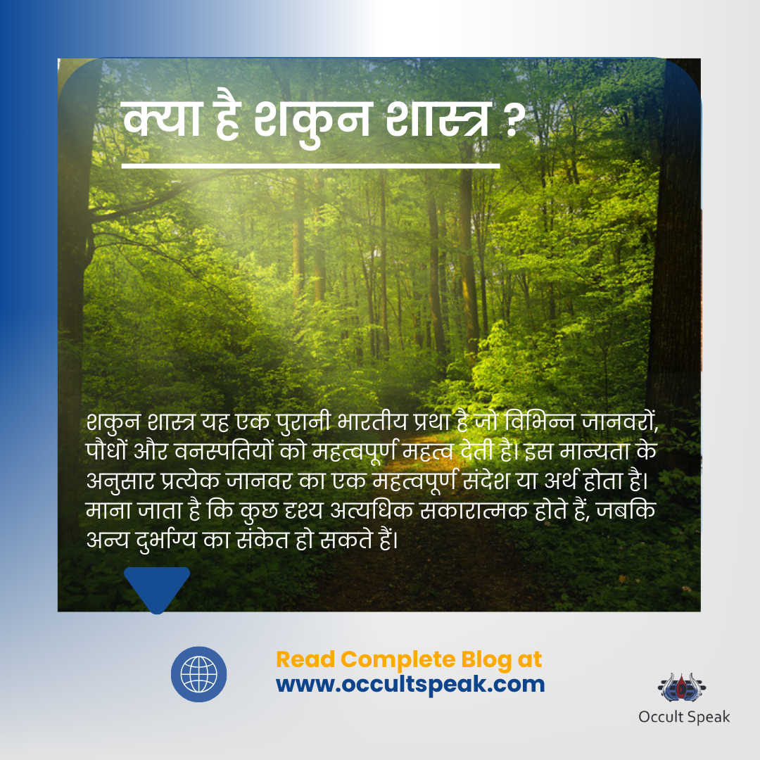 Uncovering the Secrets of ‘Shakun Shastra’