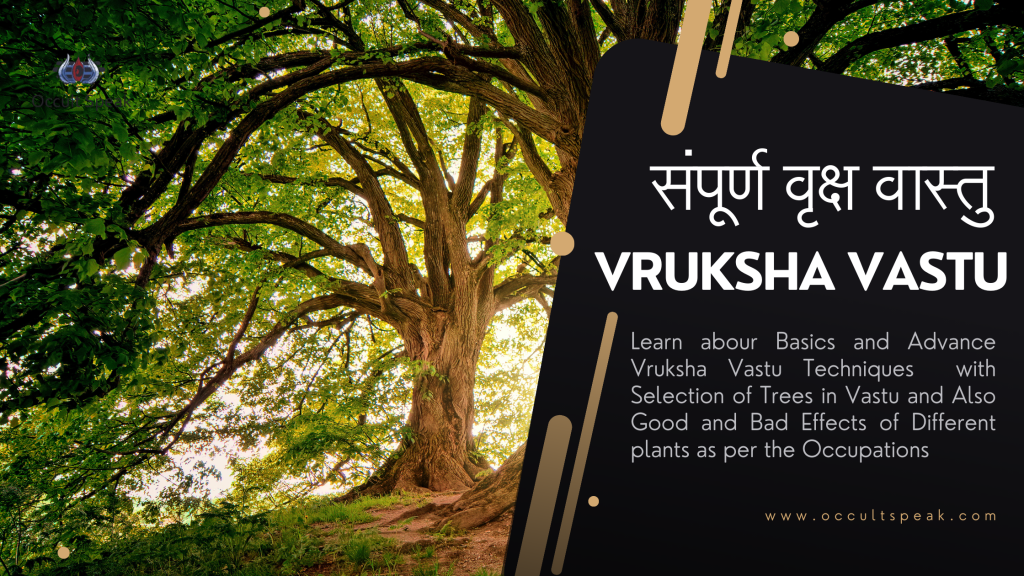 The Principles of Vruksha Vastu: How Plants Influence Energy in Your Home