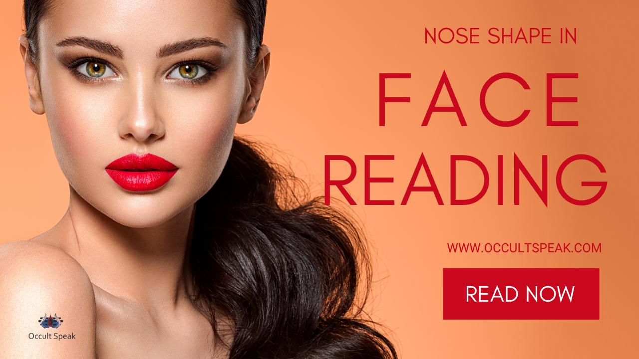 The Significance of Beautiful Nose Shape in Face Reading