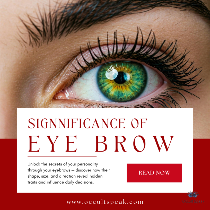 The Significance of Eyebrows in Face Reading and Daily Routine